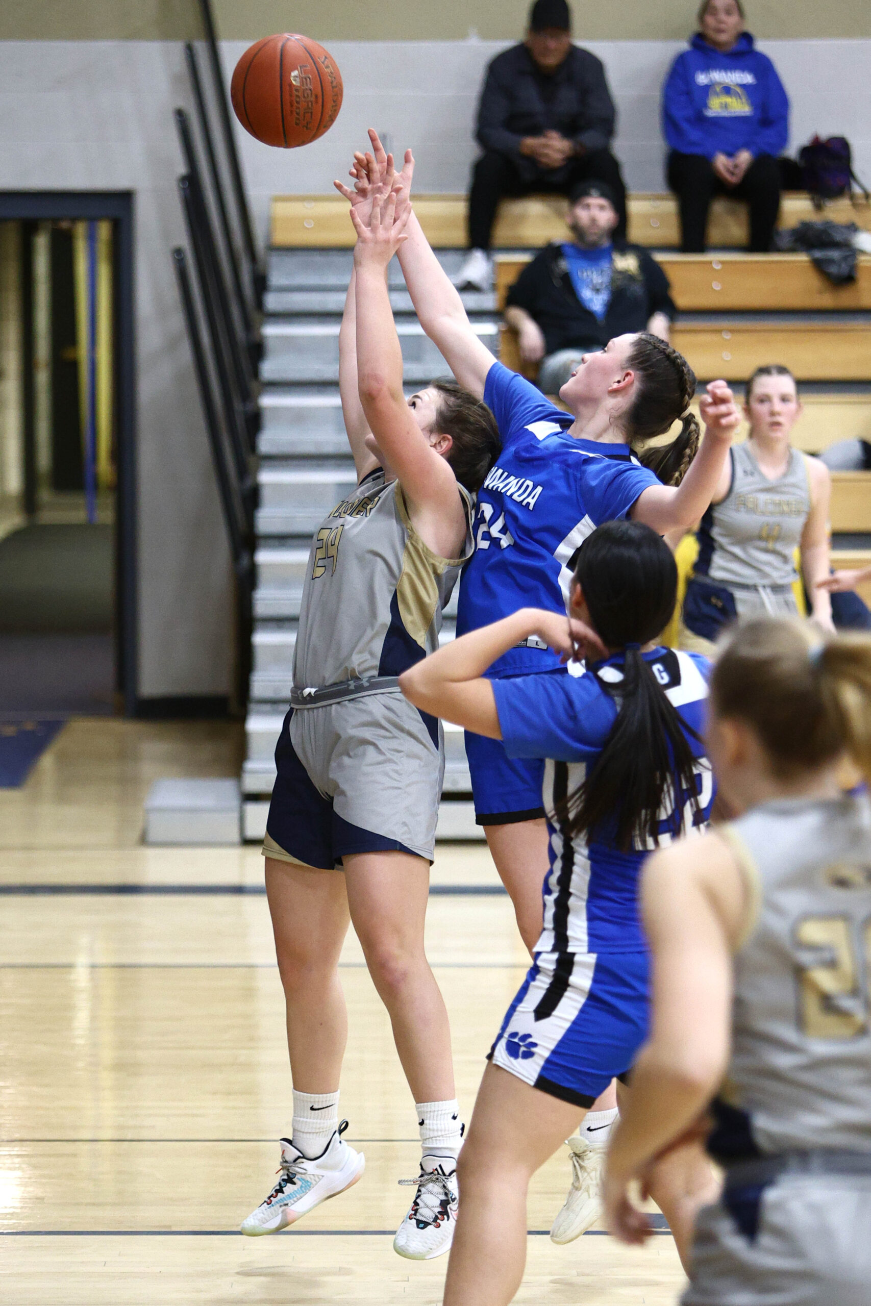 Falconer cruises past Gowanda | News, Sports, Jobs - Observer Today